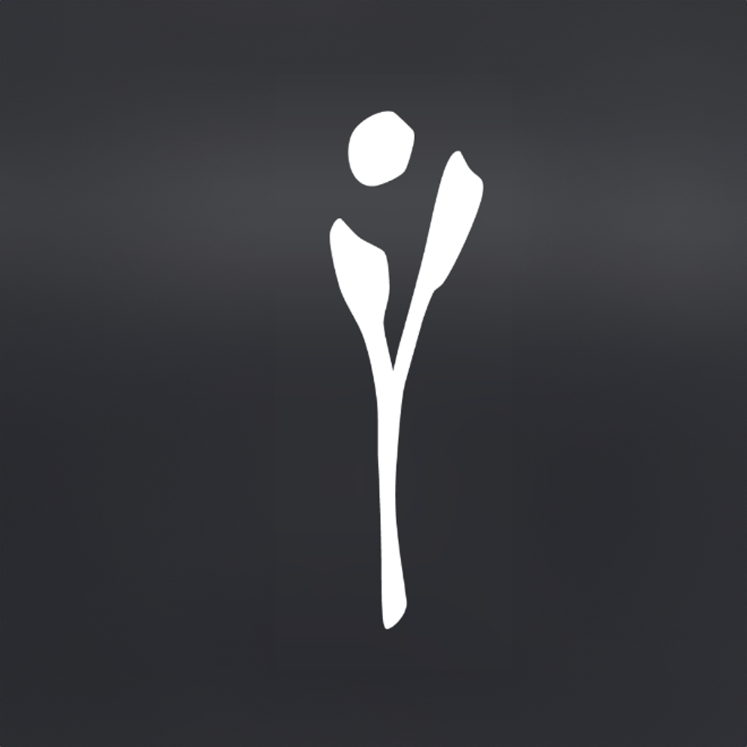 Everwild Canmore - Spa Packages & Offers